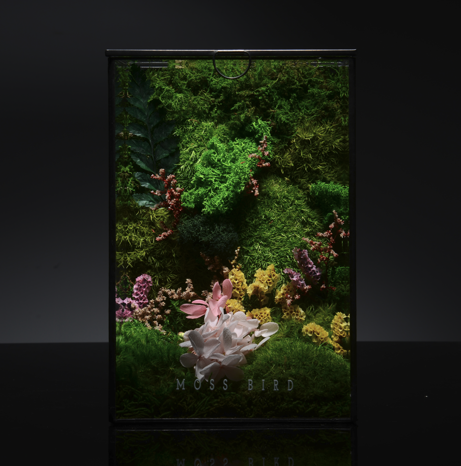 Moss Bird – mossbird